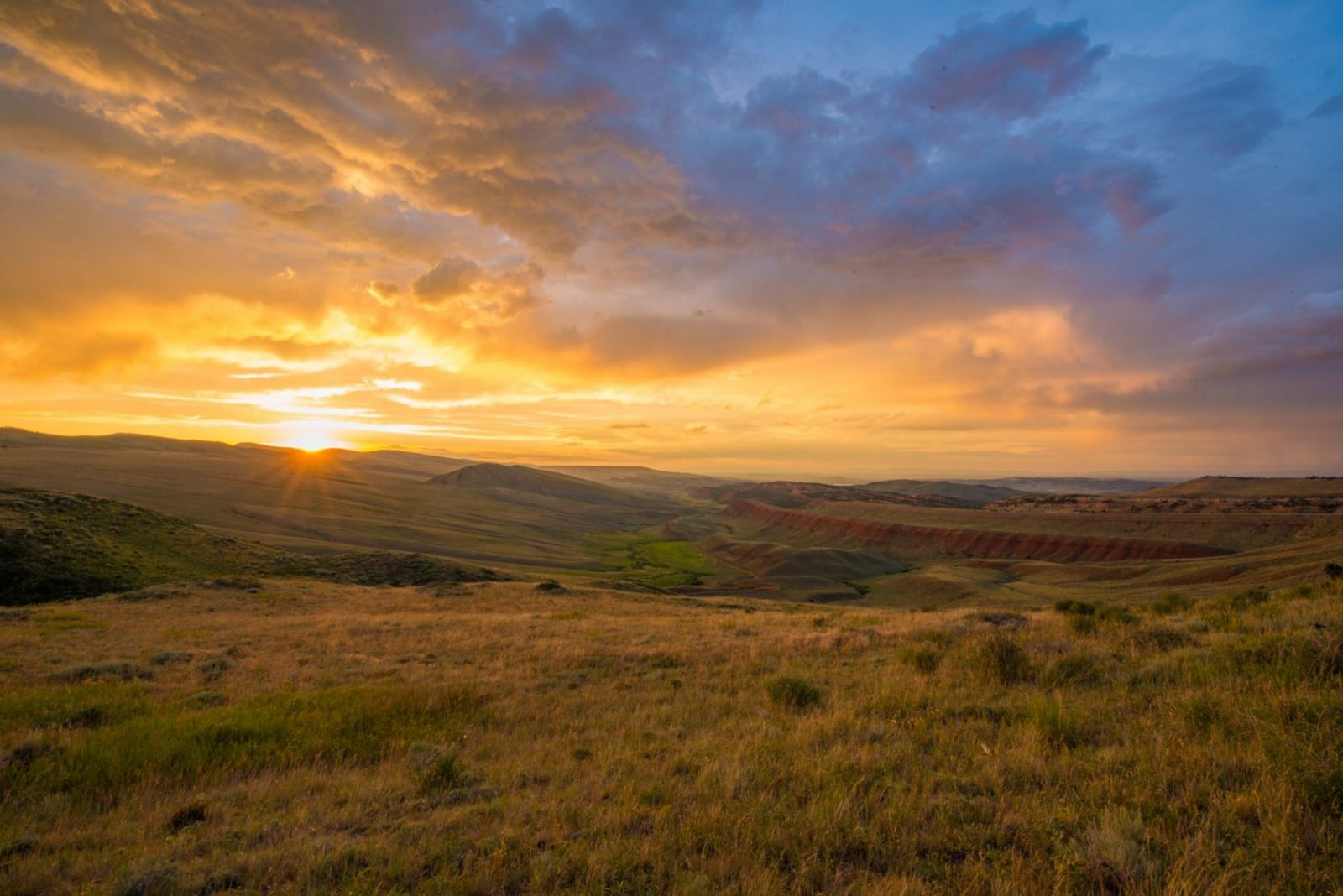 Careers & Internships — Wyoming Outdoor Council