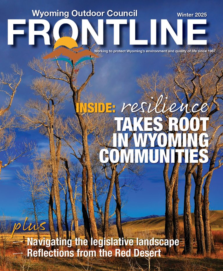 NEWSLETTERS AND PUBLICATIONS — Wyoming Outdoor Council