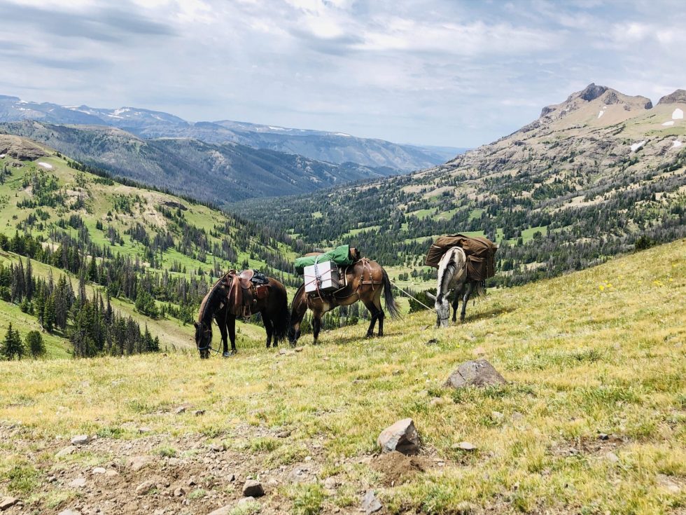 Story behind the photo: "Thorofare" by Karinthia Harrison — Wyoming ...